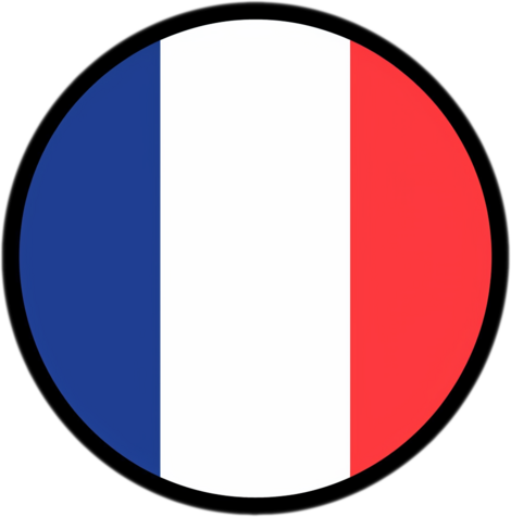 Devise Learning: Interactive Language Learning Platform